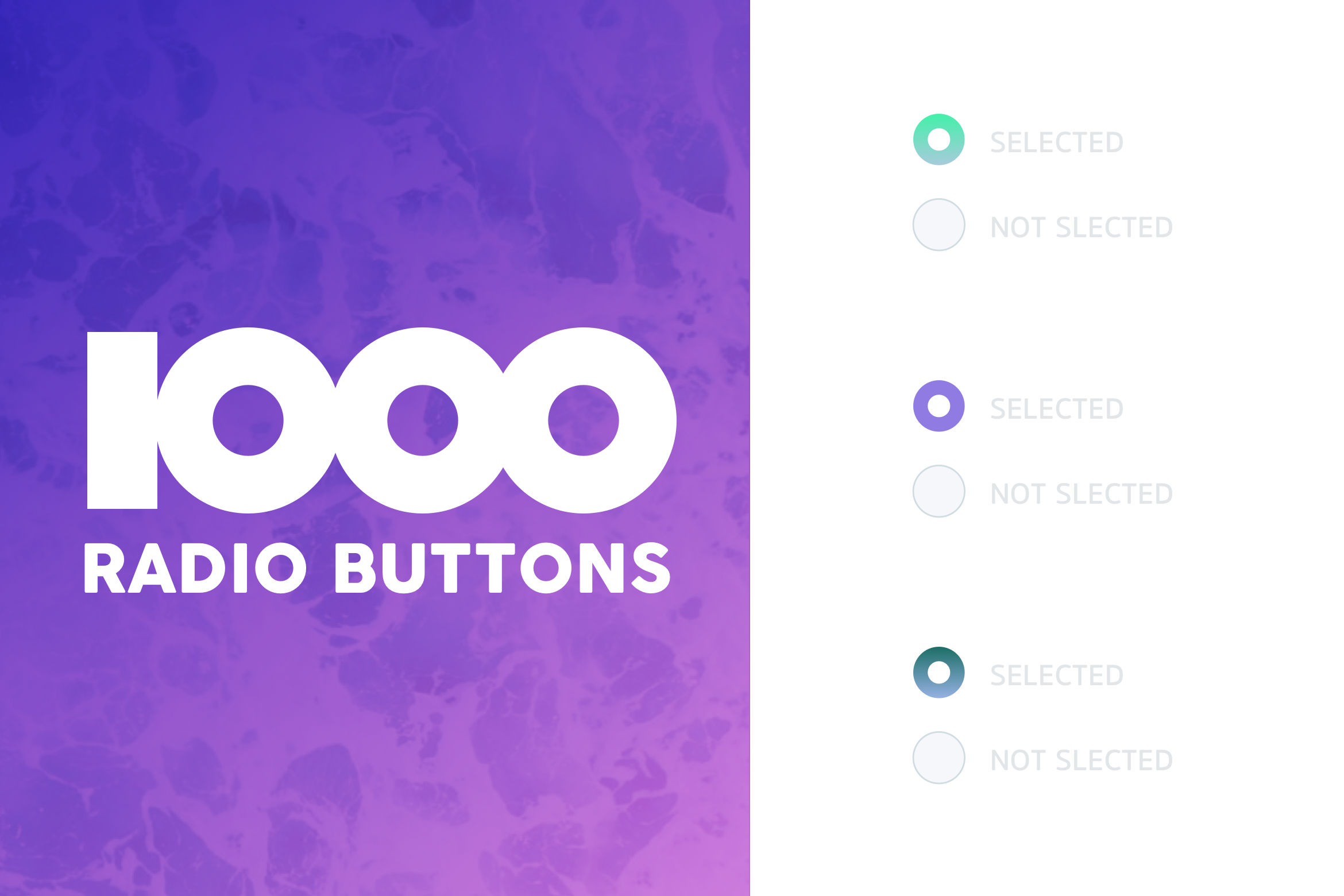 1000 Radio Buttons Themes – Pixroad